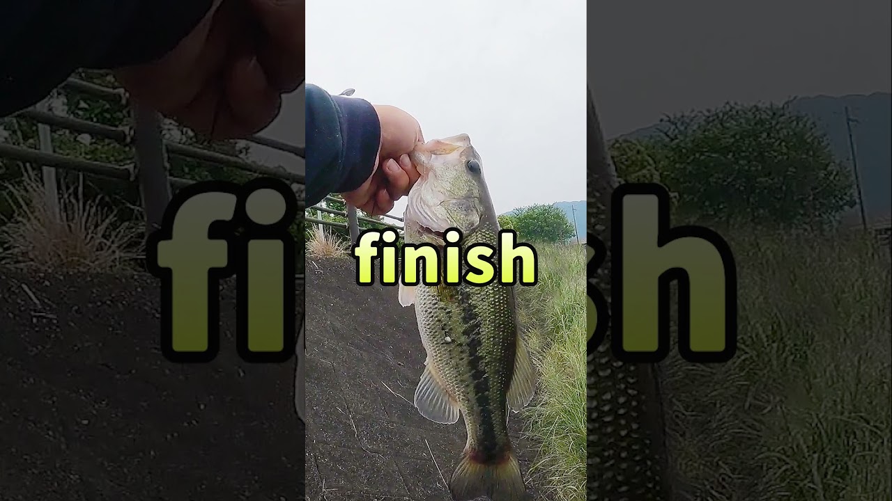 SAMMY’S脳トレ531【初級】釣れた〜 #abu #バス釣り #バスフィッシング – 釣りGIRL